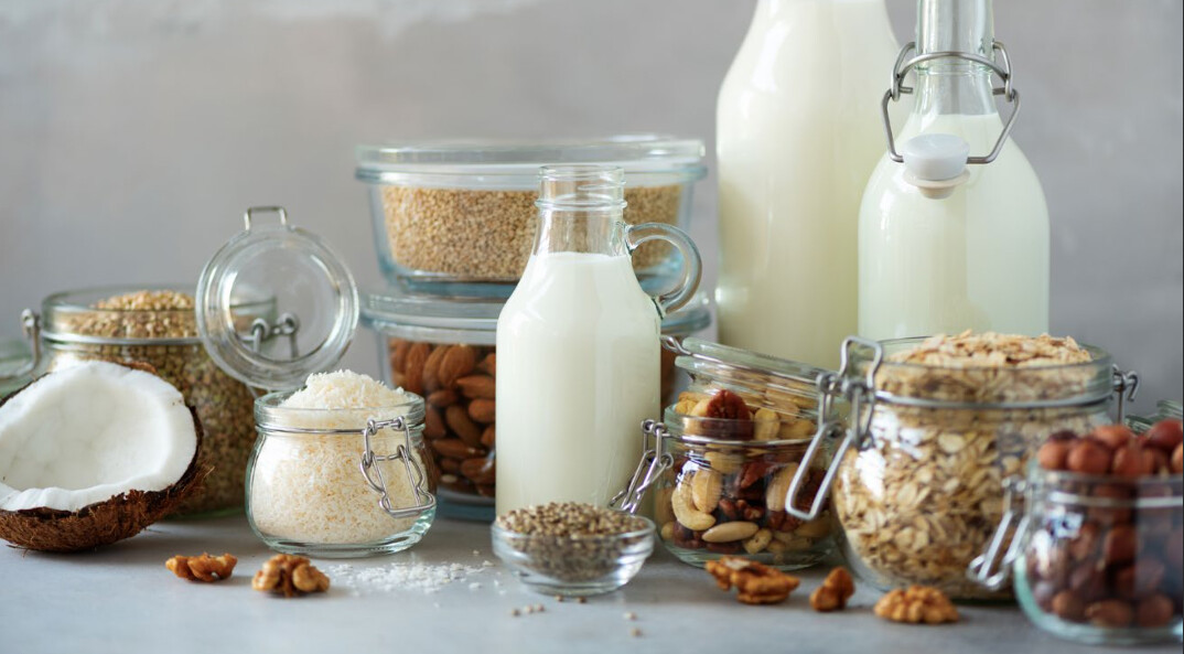 Rooted in Innovation: Our Take on Plant-based